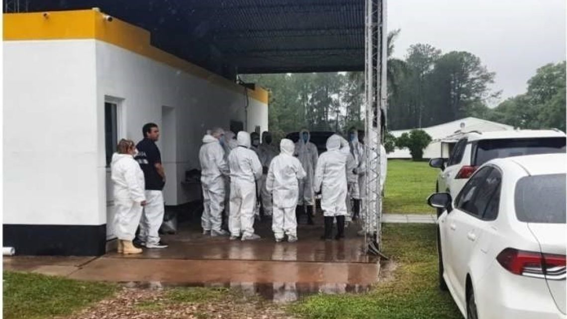 Duro revés judicial para Senasa por una denuncia contra la avícola ...