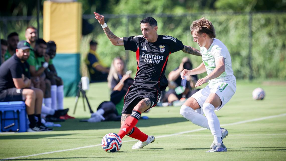 Tome nota Boca: Benfica goleó en un amistoso previo al Mundial de Clubes | 442