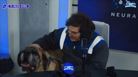 Milei makes waves by taking his dog Conan to interview | Buenos Aires Times