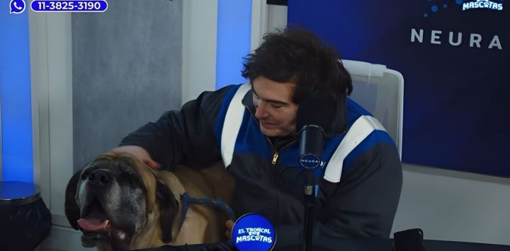 Culture | Buenos Aires Times