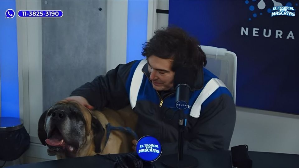 Milei makes waves by taking his dog Conan to interview | Buenos Aires Times