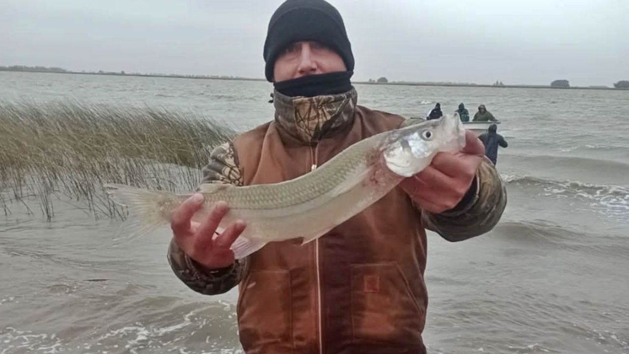 Bokep asli with Natasha's advice will position her in