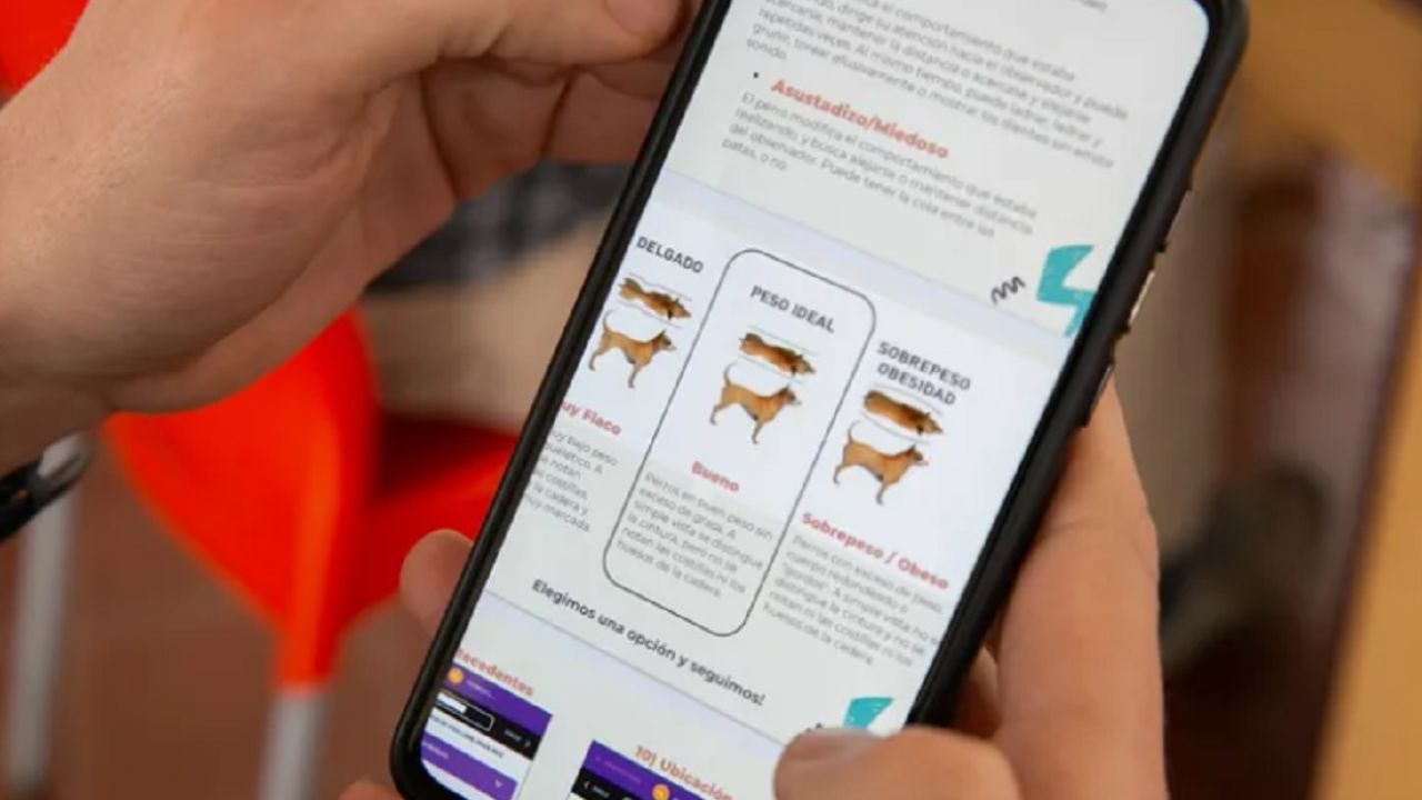 Científicos mendocinos desarrollaron una App para registrar a perros ...