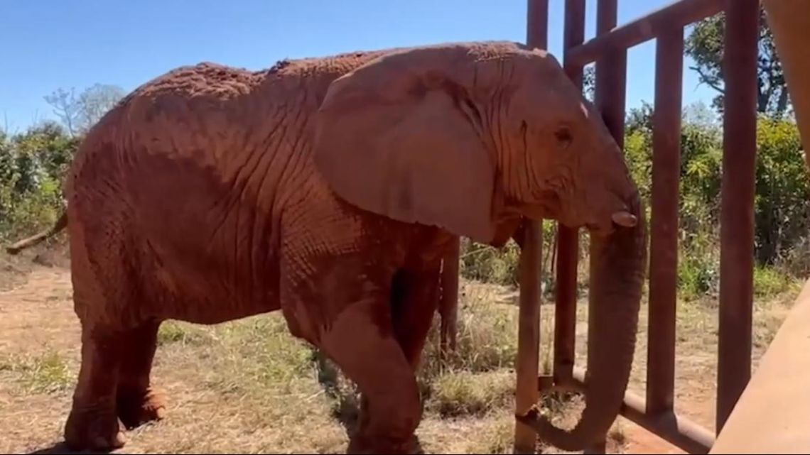 Ixxx me not once did it feel like a service.