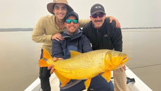 Fiesta Nacional del Dorado 2025: pesca, premios millonarios y shows en ...