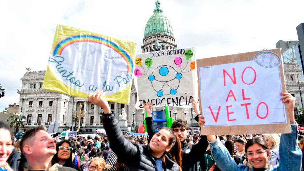 Ley de emergencia en discapacidad: Diputados rechazó el veto de Milei y el Senado tendrá la ...
