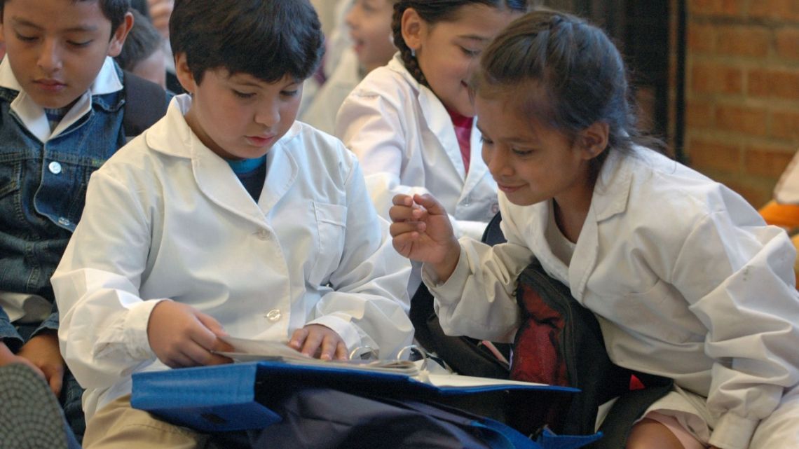 Encuesta: el 81% de los argentinos cree que los políticos hablan poco o nada de educación | Perfil