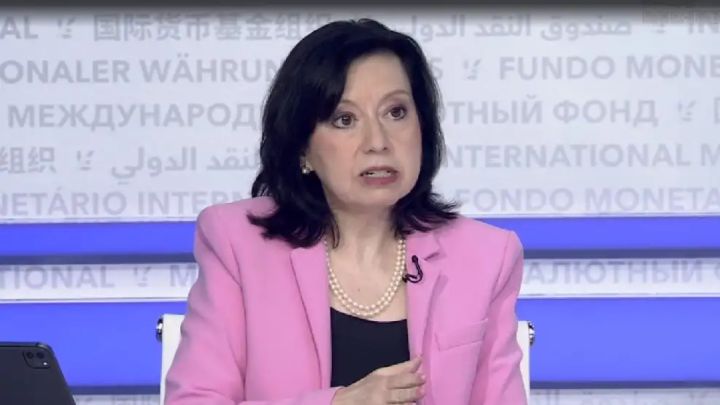 IMF offers Milei backing, hails progress on inflation, fiscal reform ...