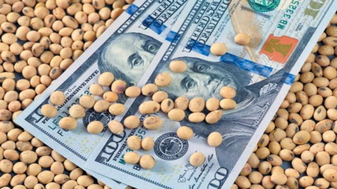 Pablo Furnari: “La baja de retenciones favorece más a grandes empresas que a pymes” | Canal E