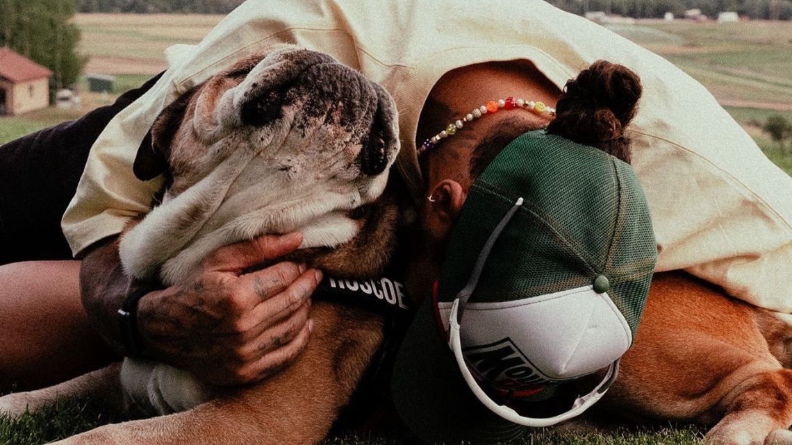 Lewis Hamilton confirmó el fallecimiento de su perro, Roscoe: "Fue la decisión más difícil de mi ...