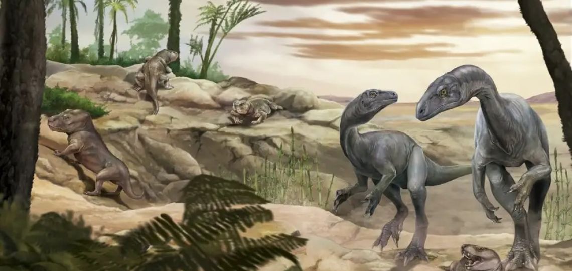 Fossils of one of oldest dinosaurs on planet found in La Rioja | Buenos ...