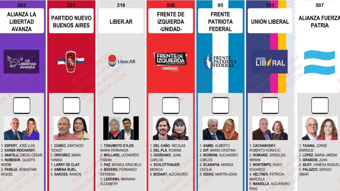 Así son las Boletas Únicas de Papel en Buenos Aires y CABA: colores ...