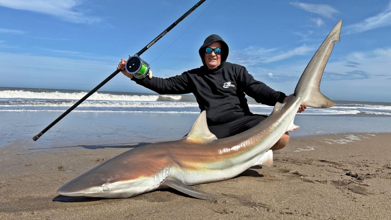 Cazones y bacotas, un combo tiburonero en el Faro Querandi | Weekend