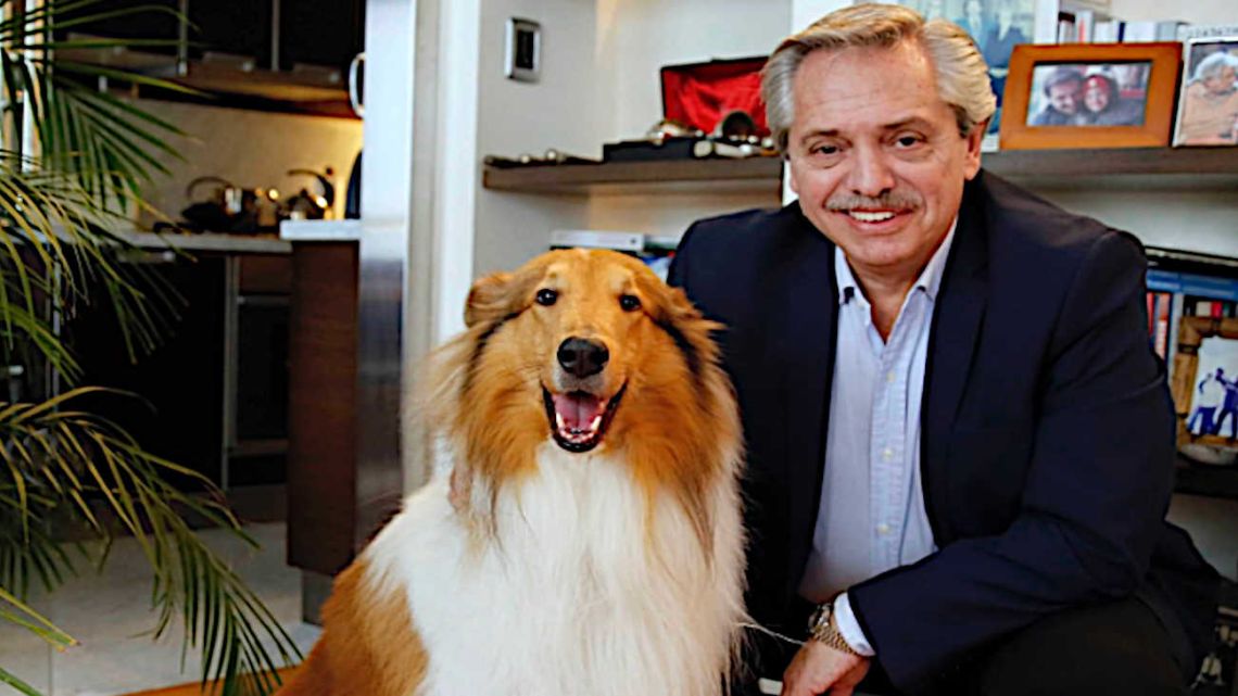 “Te despido con mucho dolor”: Alberto Fernández anunció la muerte de su ...