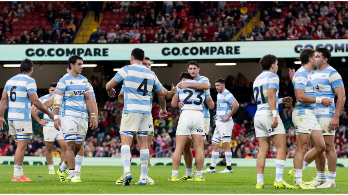 Los Pumas ya conocen a sus rivales para el Mundial de Rugby 2027 | 442