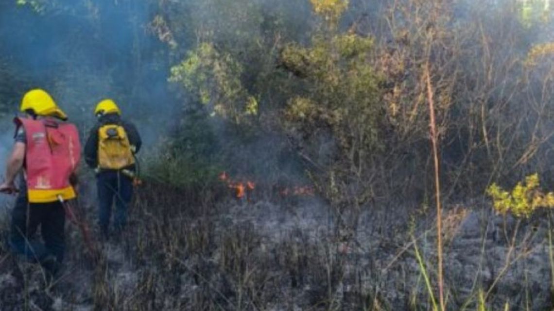 Bomberos de Santa Ana controlaron un incendio que avanzaba hacia el ...