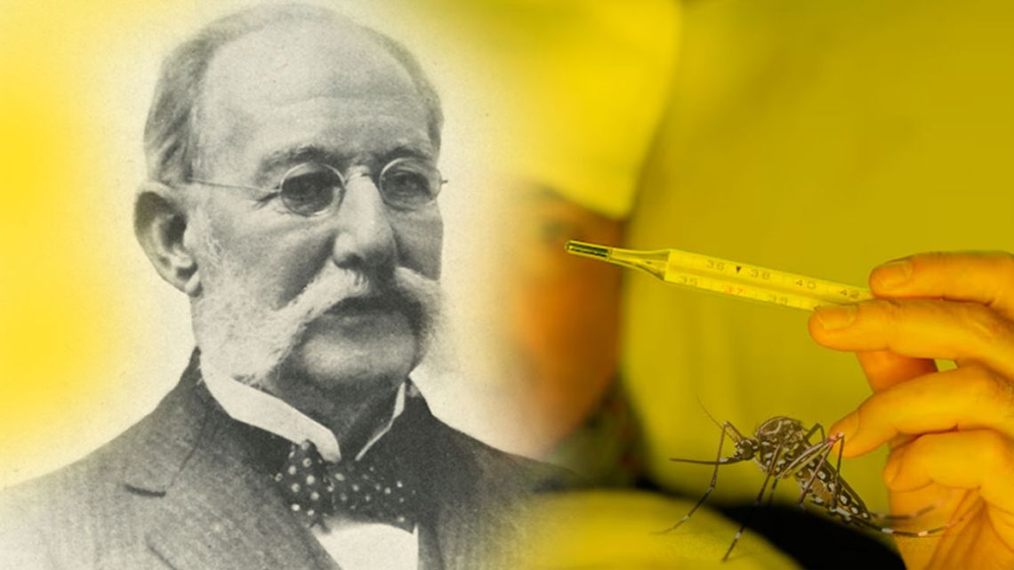 Día del Médico: quién era Carlos Finlay, el pionero del tratamiento de ...