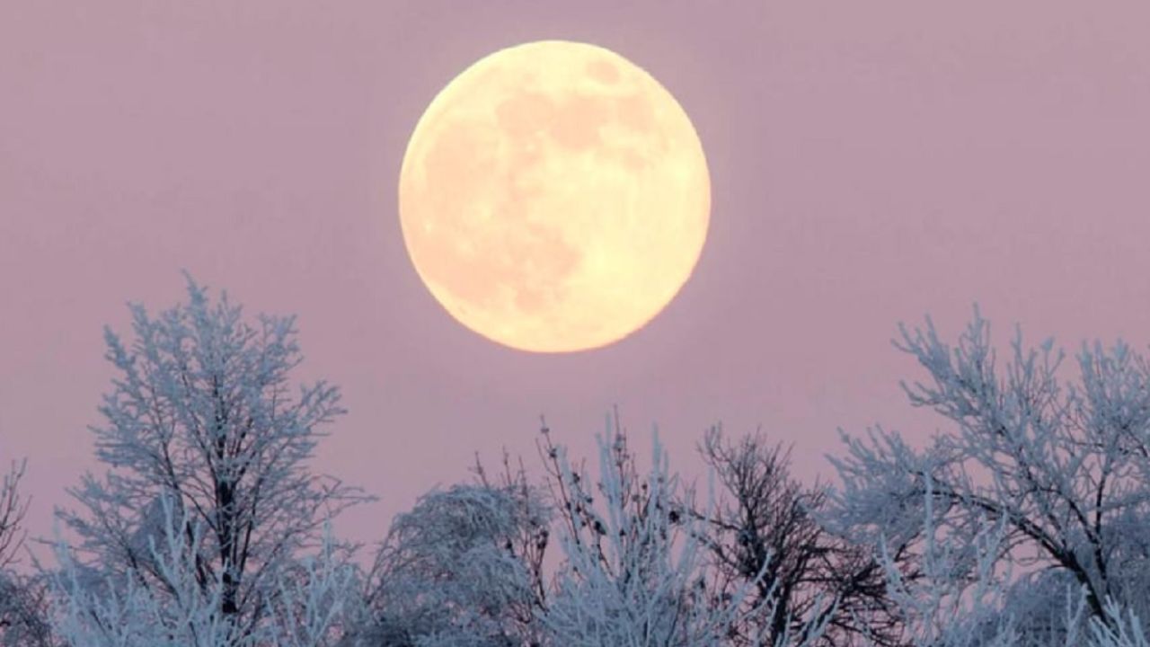 ¿Cuándo y cómo ver la Luna Fría 2025 desde la Argentina? | Weekend