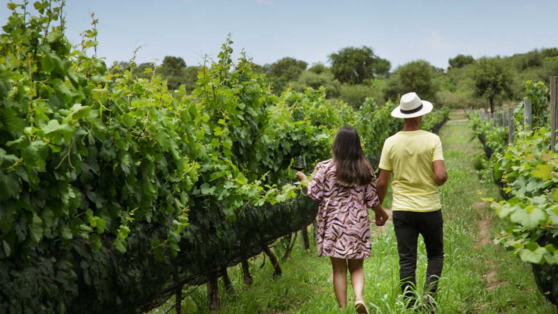 La Matilde y el arte de vivir el verano en Traslasierra | Perfil