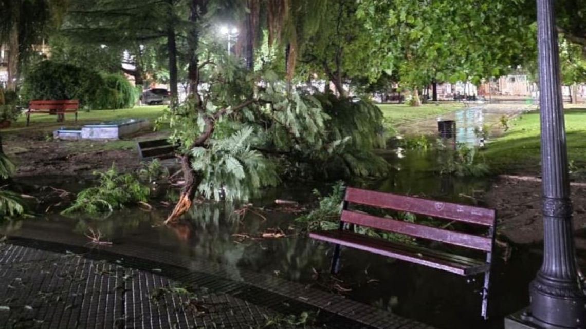 Temporal en Villa Dolores: árboles caídos y calles anegadas por la ...