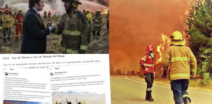Patagonia’s wildfires become weapons of disinformation | Buenos Aires Times