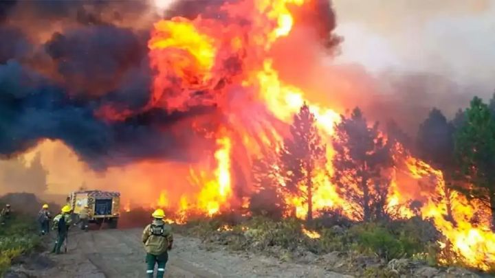 Government declares emergency over Patagonia wildfires | Buenos Aires Times