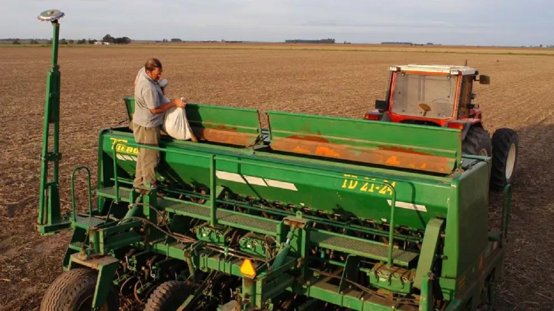 Liderazgo en el agro: por qué la gestión interna define el crecimiento ...