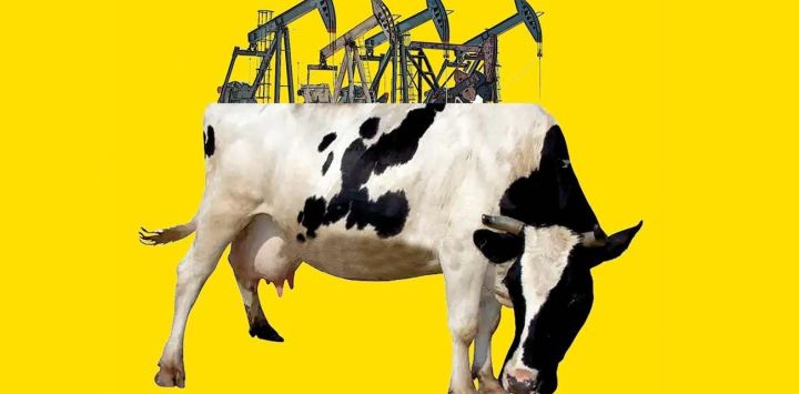 Vaca Muerta promises flood of dollars, insuring next president against ...