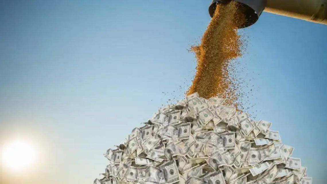 Alerta en el mercado agrícola ante la caída de las cotizaciones ...